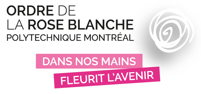 Dépôt de gerbes de roses devant la plaque commémorative