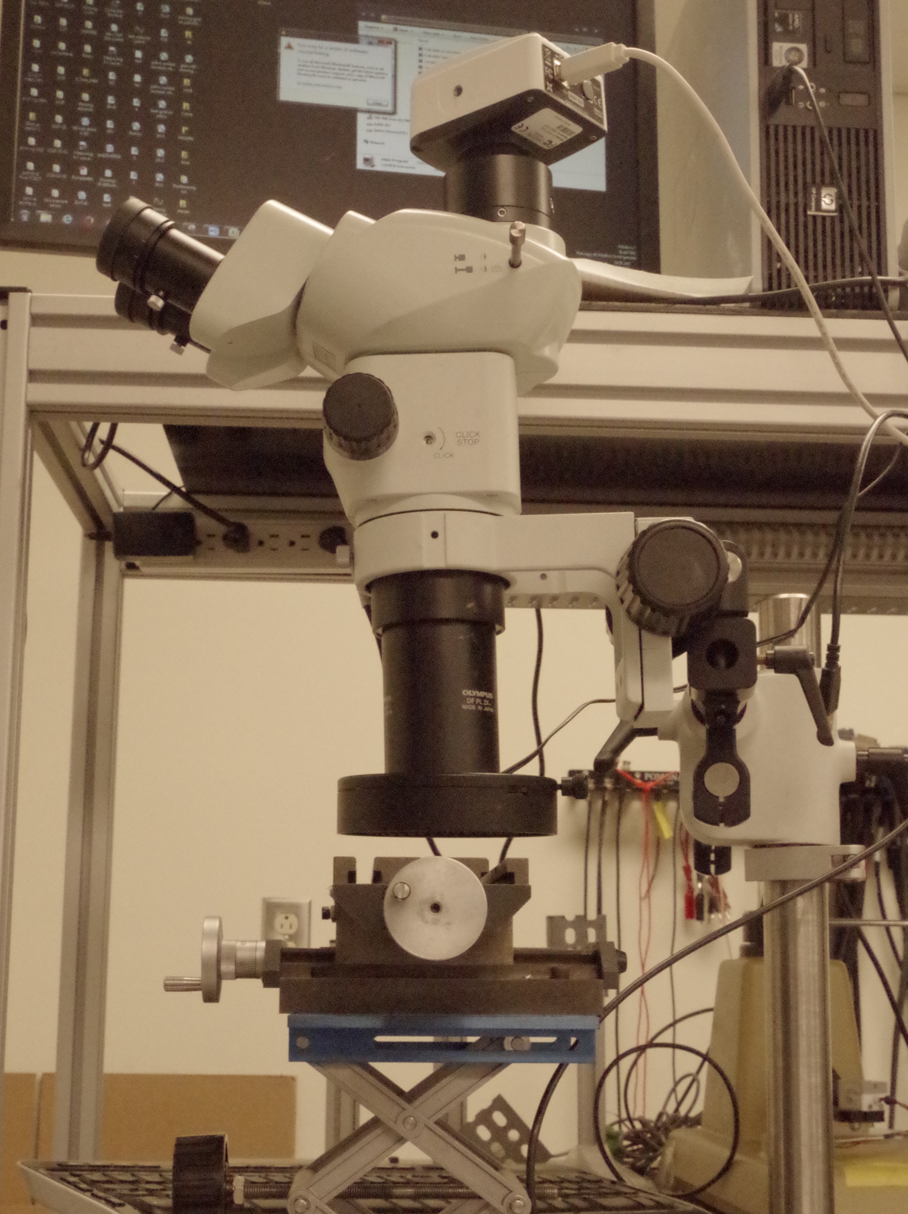 Facilities | Laboratory of organic iontronics